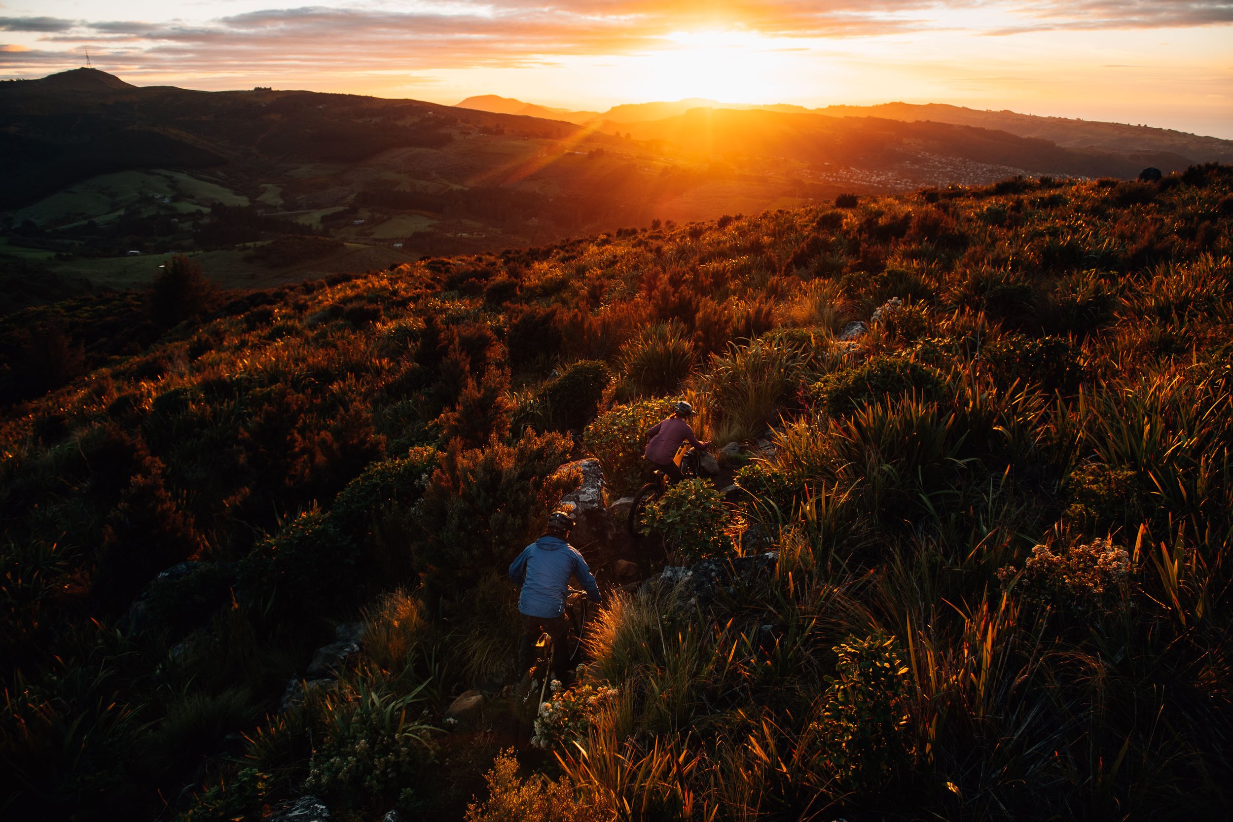 Dunedin Tracks & Trails