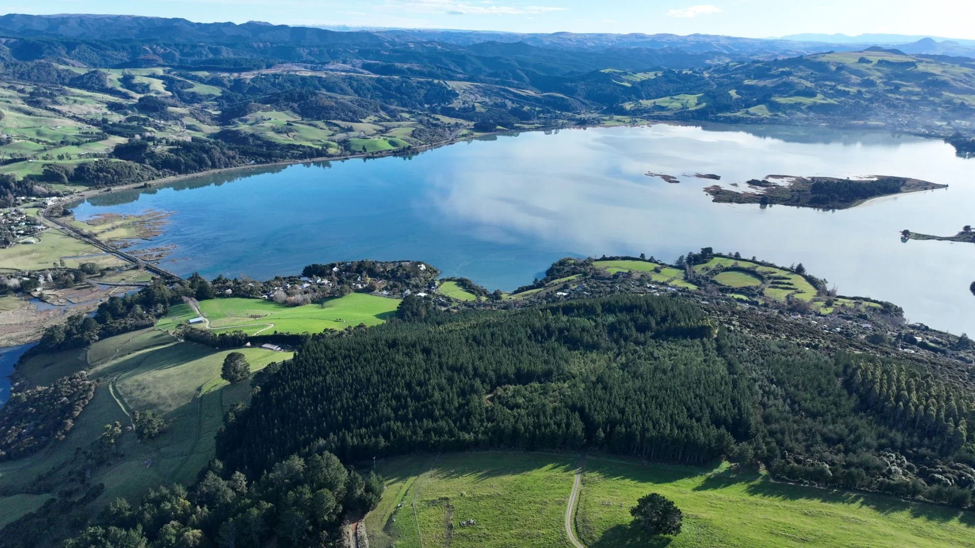 Dunedin Tracks & Trails