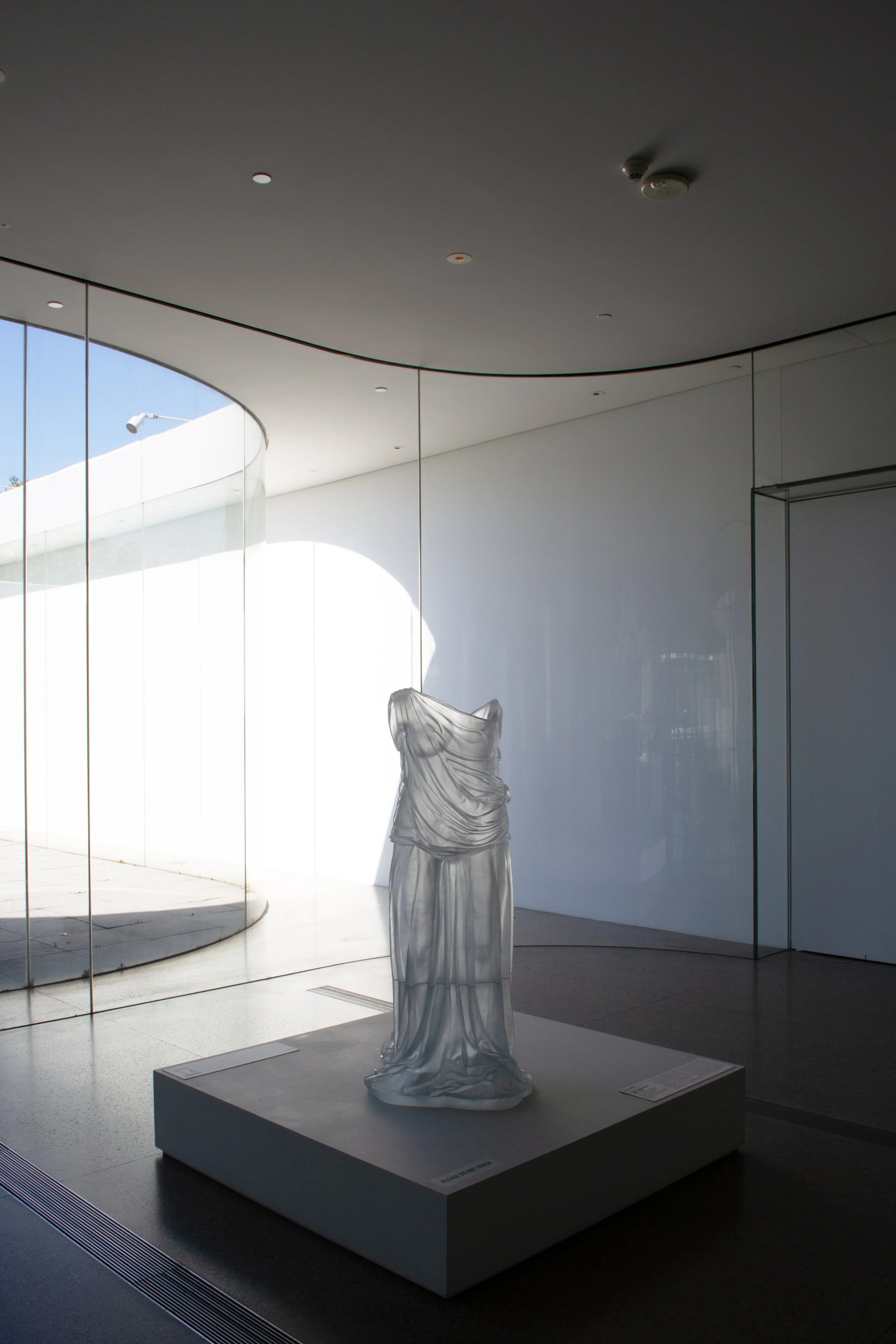 TMA — Scorpion Rose Studio