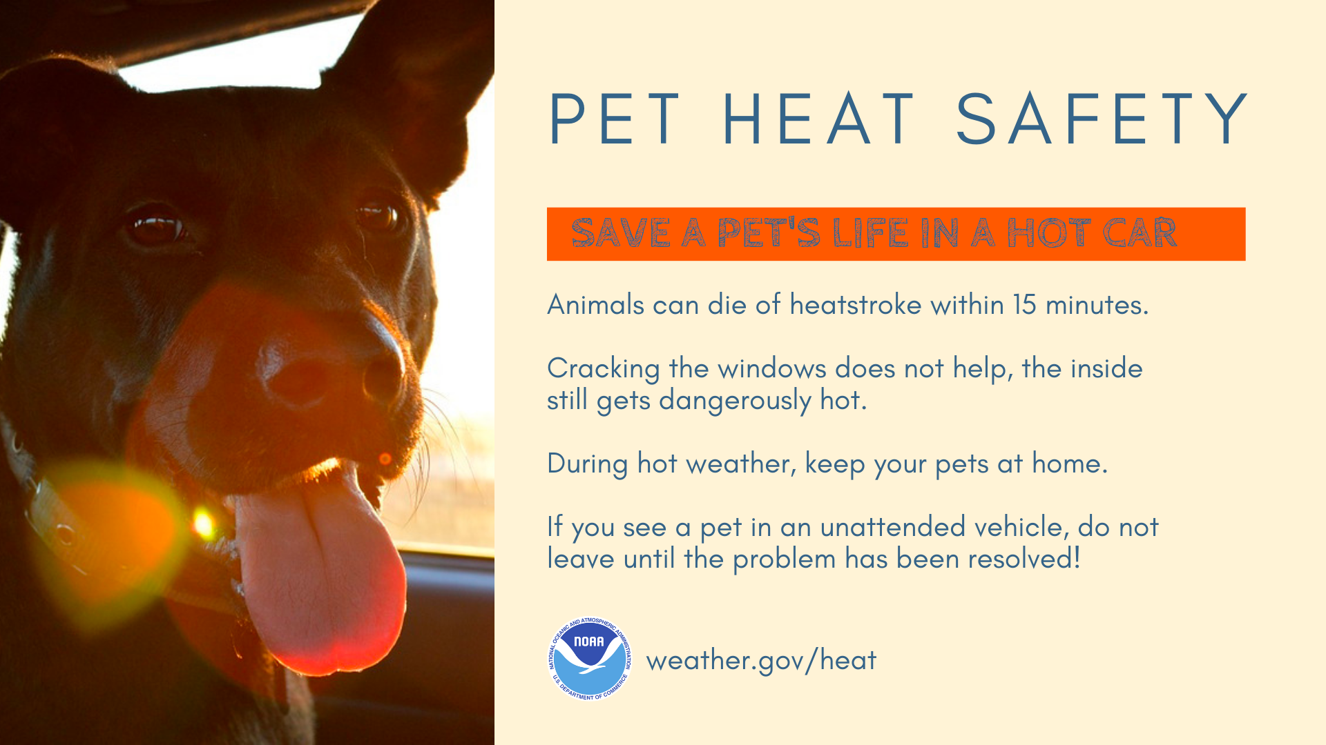 Extreme Heat Preparedness | Stay Safe, Take Action Today — SaferU
