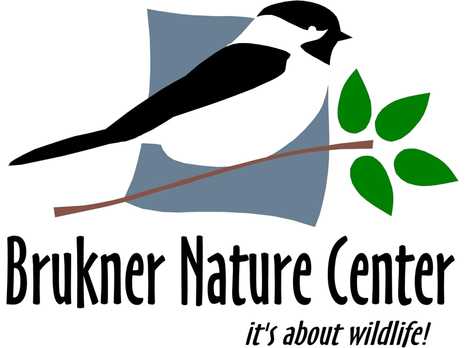 Discover Brukner Nature Center Troy Oh
