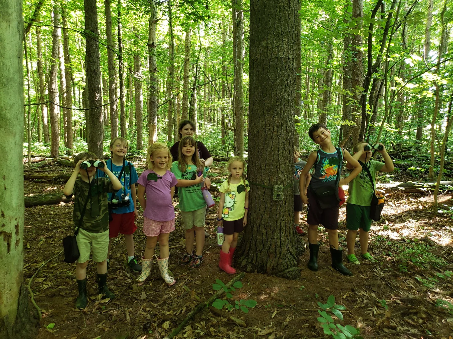 Discover Brukner Nature Center Troy Oh