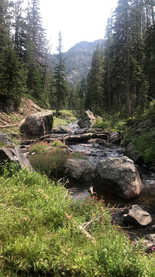 Peak Therapy Services