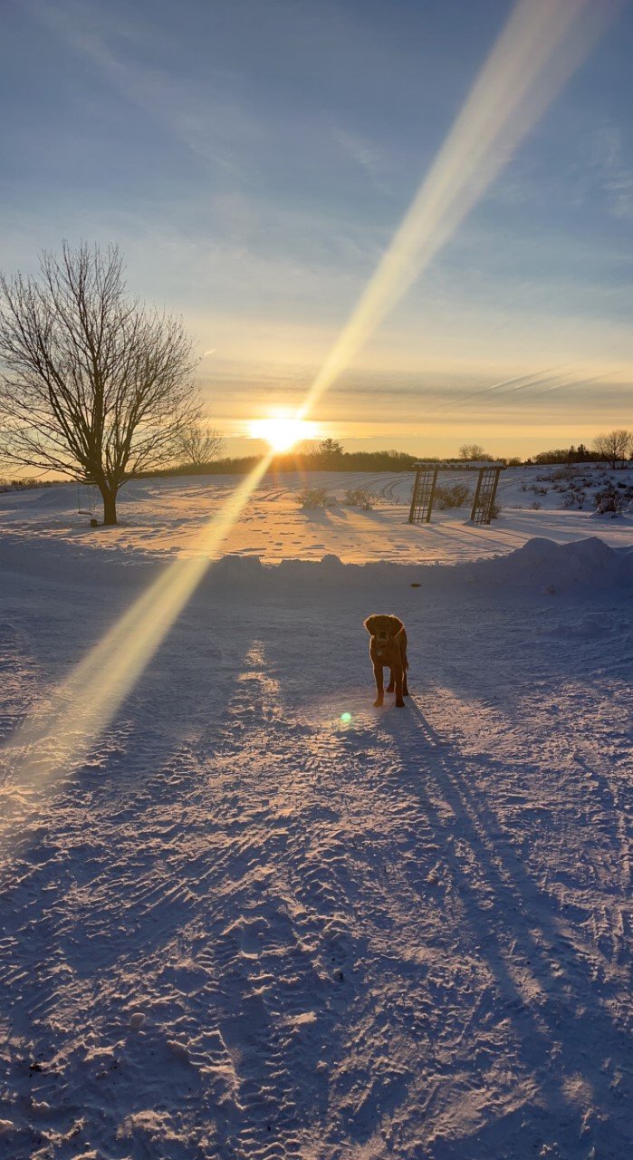 Peak Therapy Services