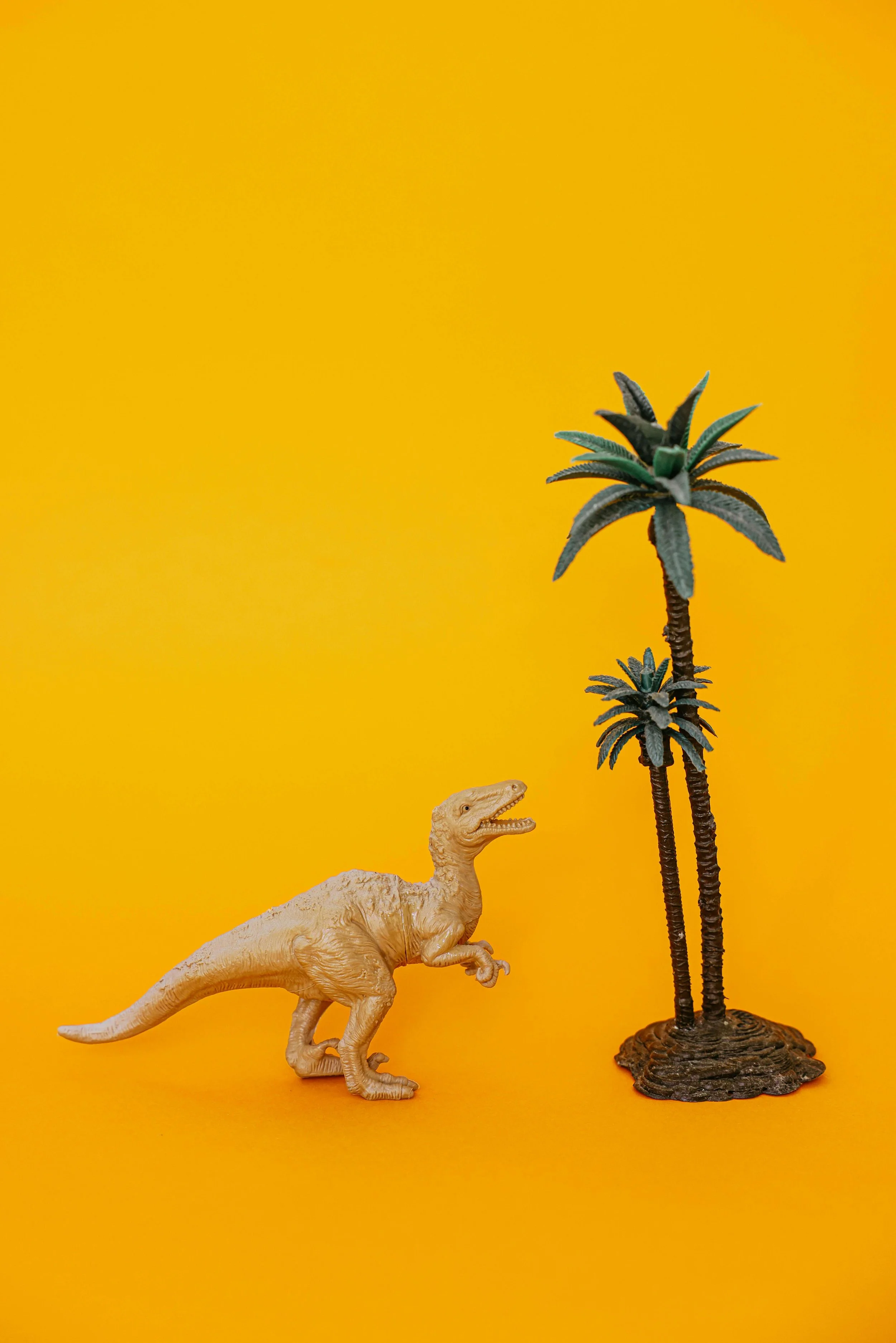 Sleeping with Dinosaur Hands: A Neurodivergent Take on Comfort, Safety ...