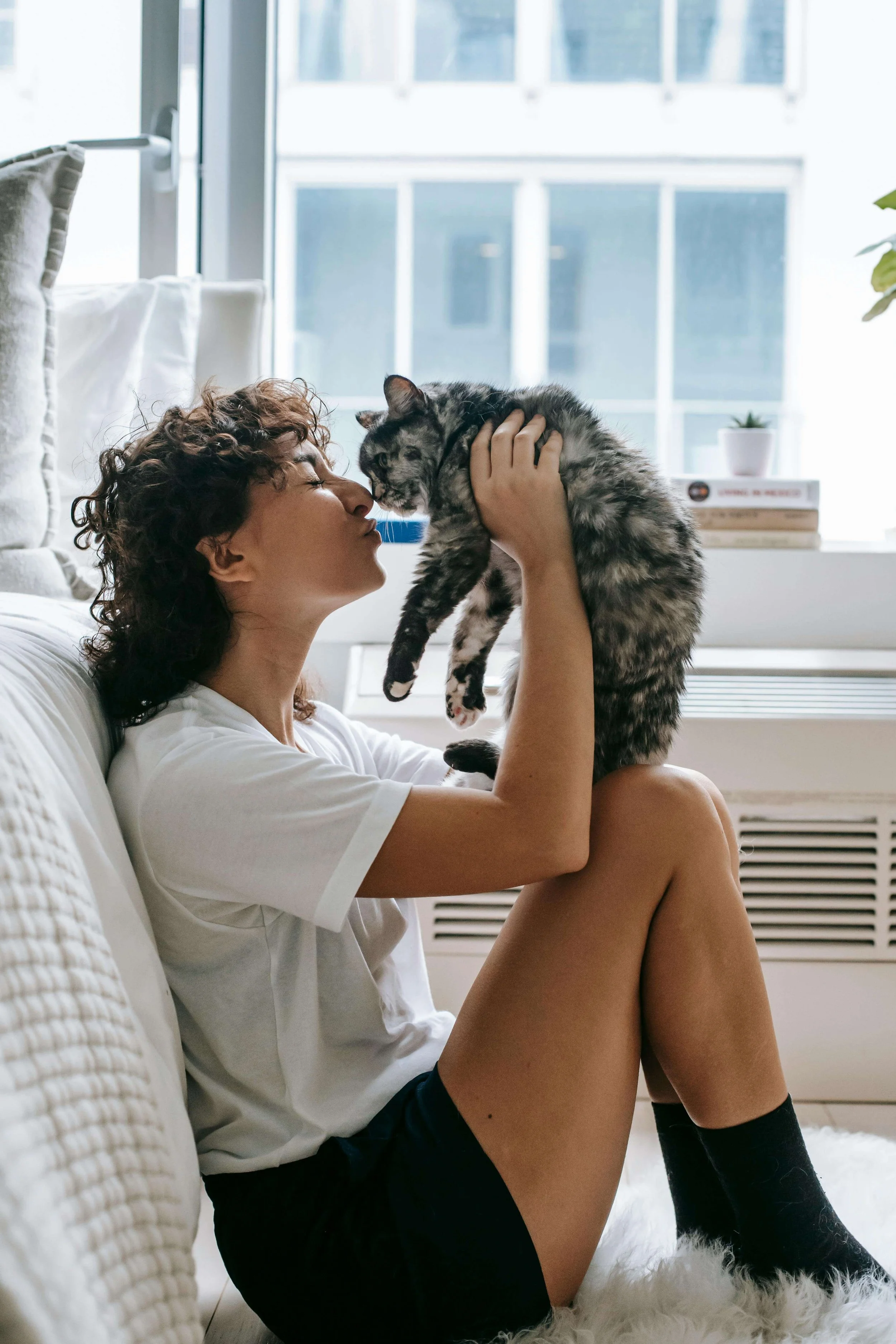 The Best Cats for Neurodivergent Households: Adoption-Friendly Guide ...