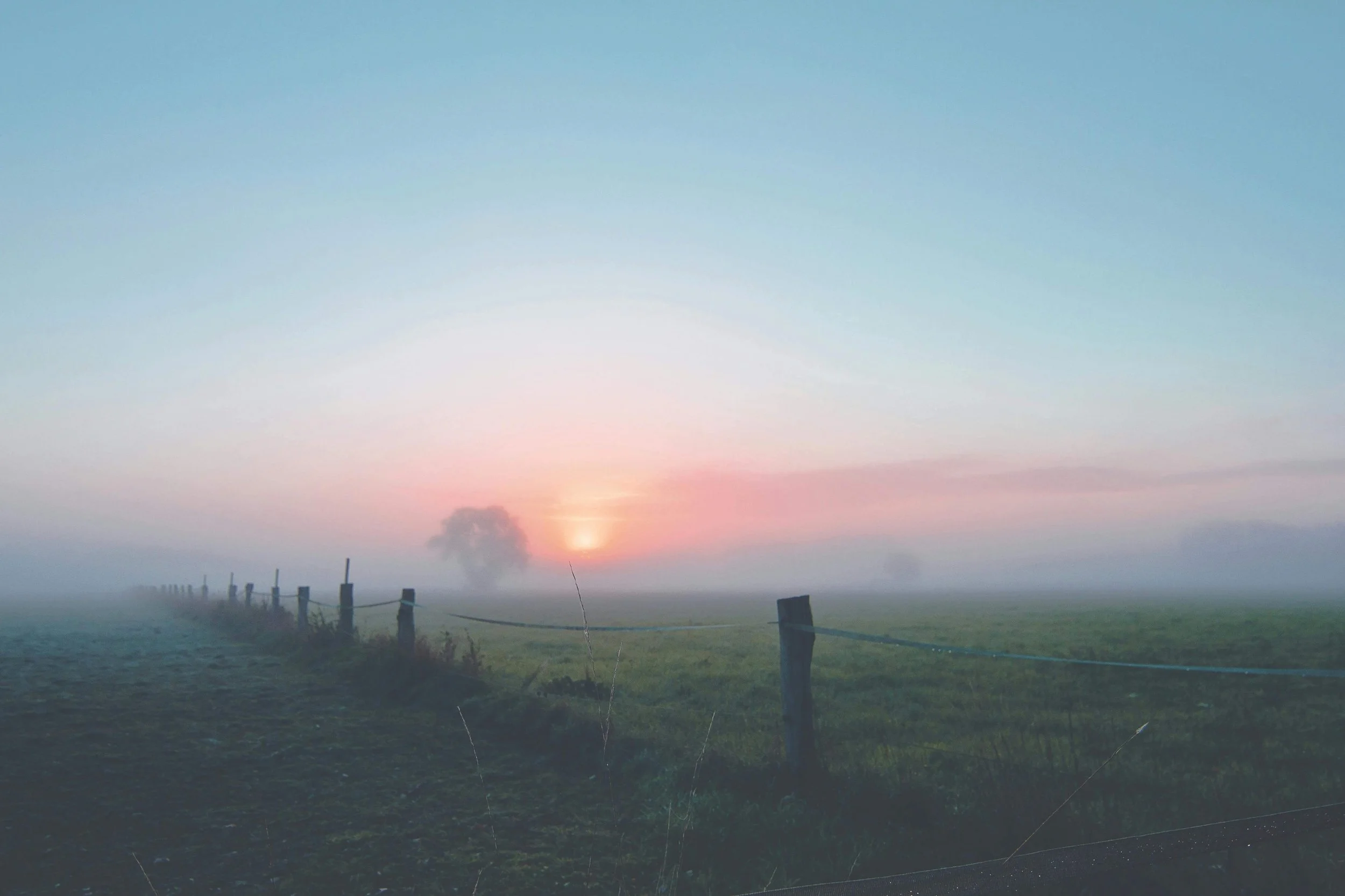 Beyond the Fog: Depth-Psychology Insights on Depression — Sagebrush ...