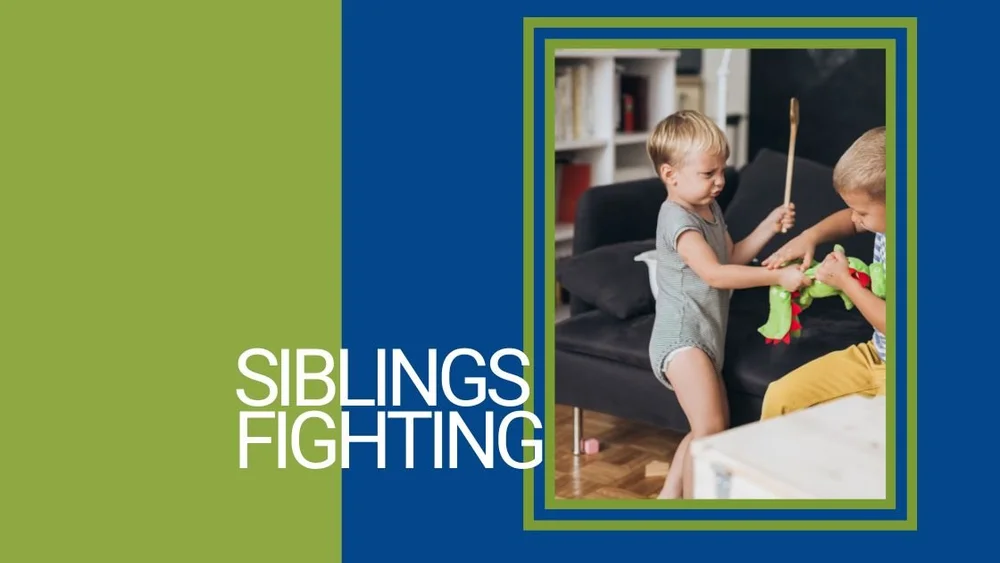 Siblings Fighting — Houston Family Therapy
