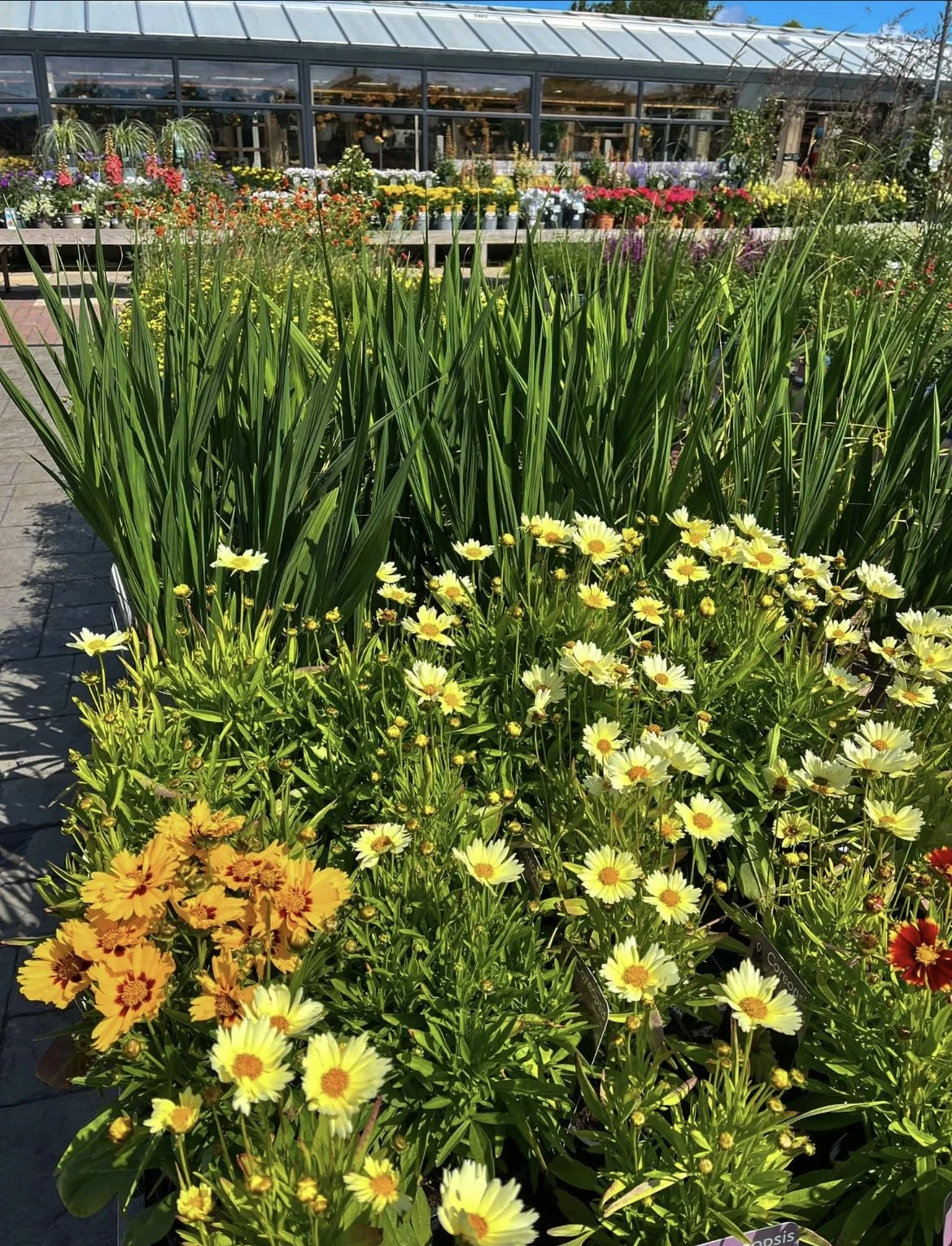 Outdoor Plants: Thornton Cleveleys Garden Centre — The Plant Place