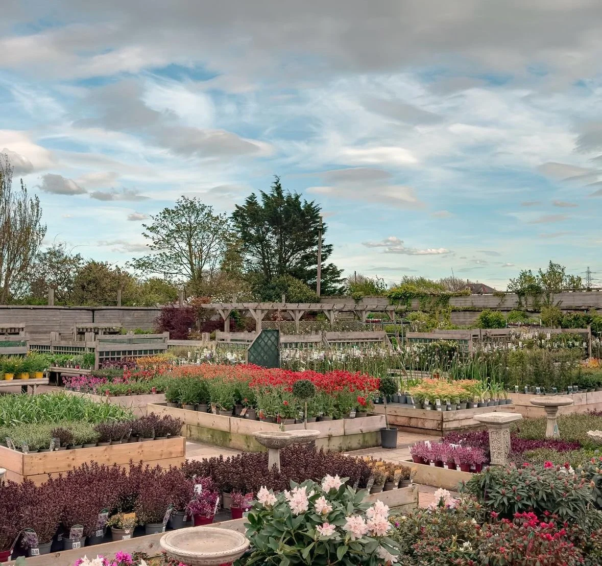 Outdoor Plants: Thornton Cleveleys Garden Centre — The Plant Place