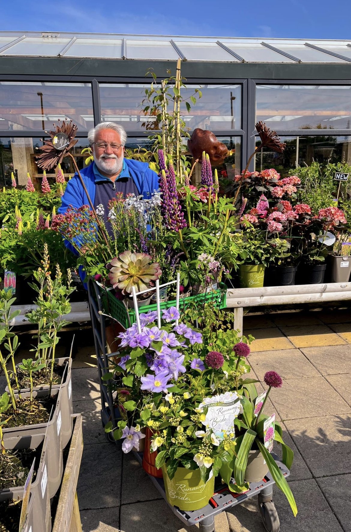 Outdoor Plants: Thornton Cleveleys Garden Centre — The Plant Place