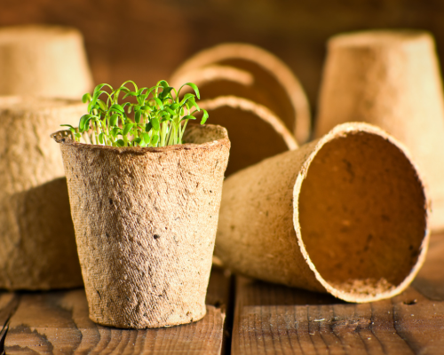 Garden Guru : Grow, Care, and Attract Wildlife — The Plant Place