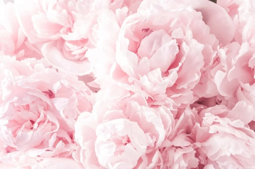 International Psychic Medium and Mentor Hope Taylor