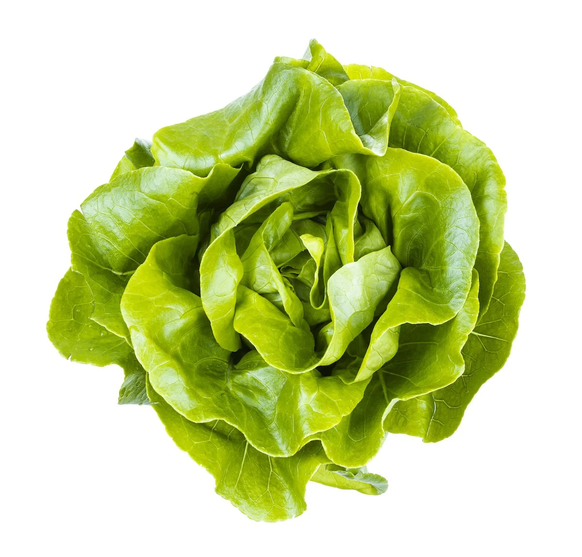 Produce Product Knowledge - Price Look-Up (PLU) Codes for Cashiers ...