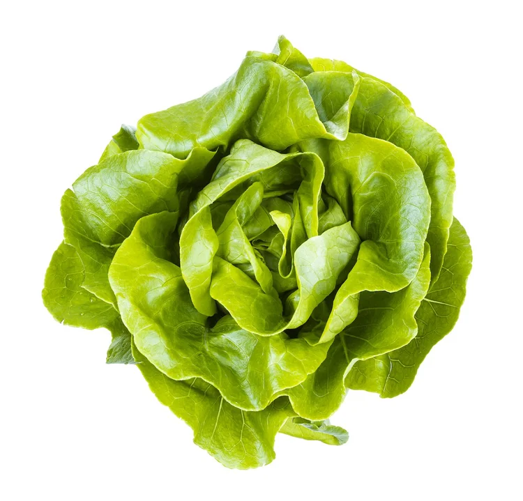 Produce Product Knowledge - Price Look-Up (PLU) Codes for Cashiers ...