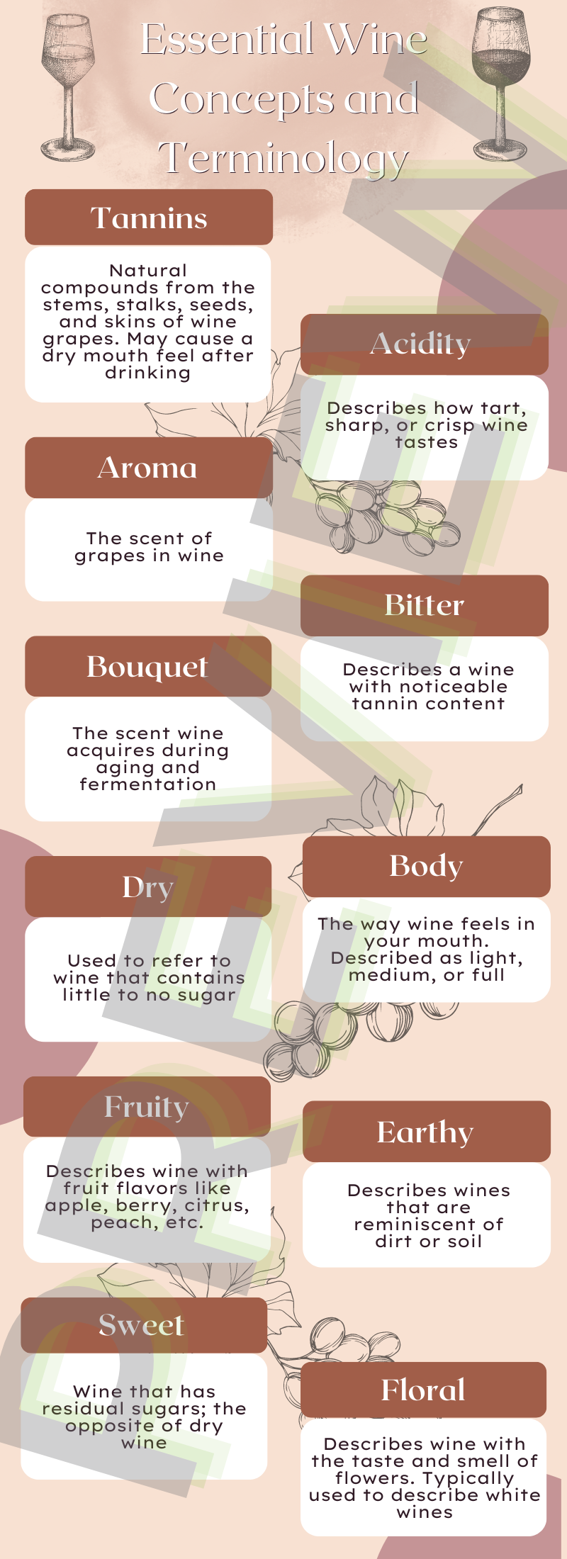 Bar Essentials - Wine Basics — Axonify Content Marketplace