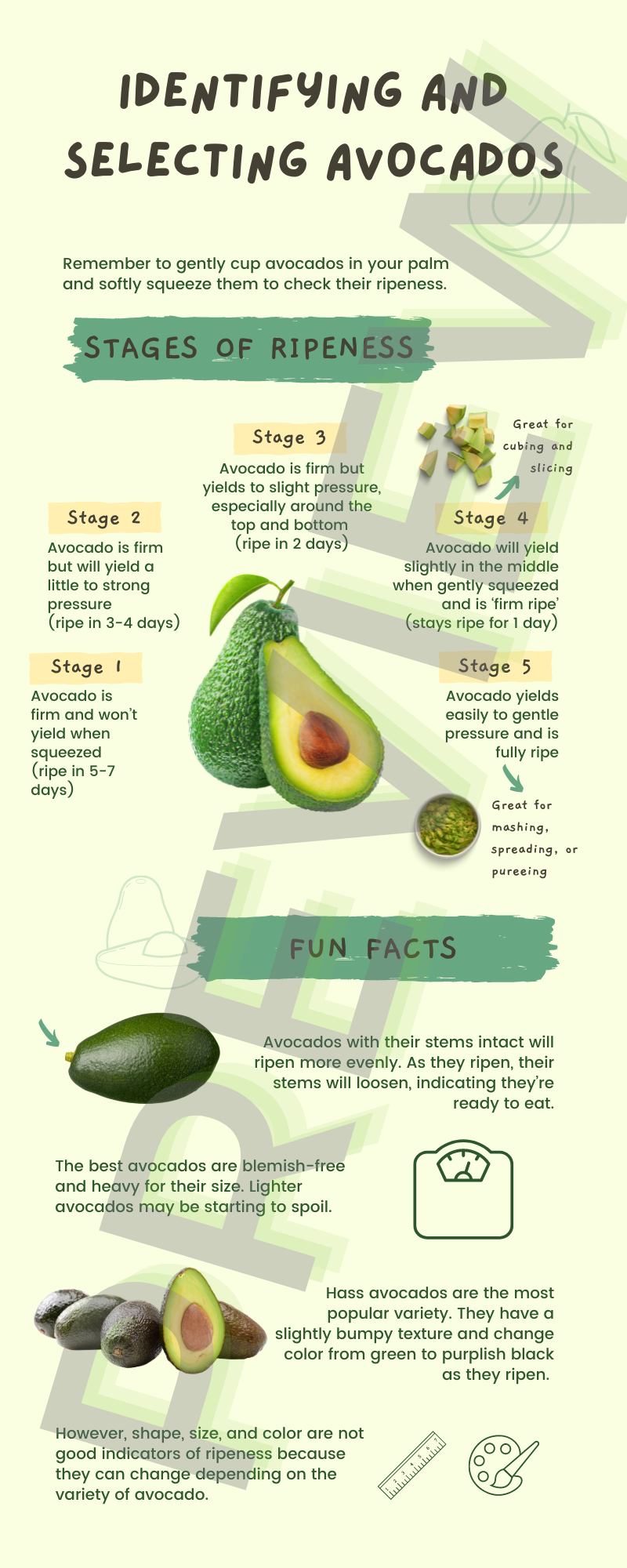 Produce Product Knowledge - Avocados 🌎 — Axonify Content Marketplace