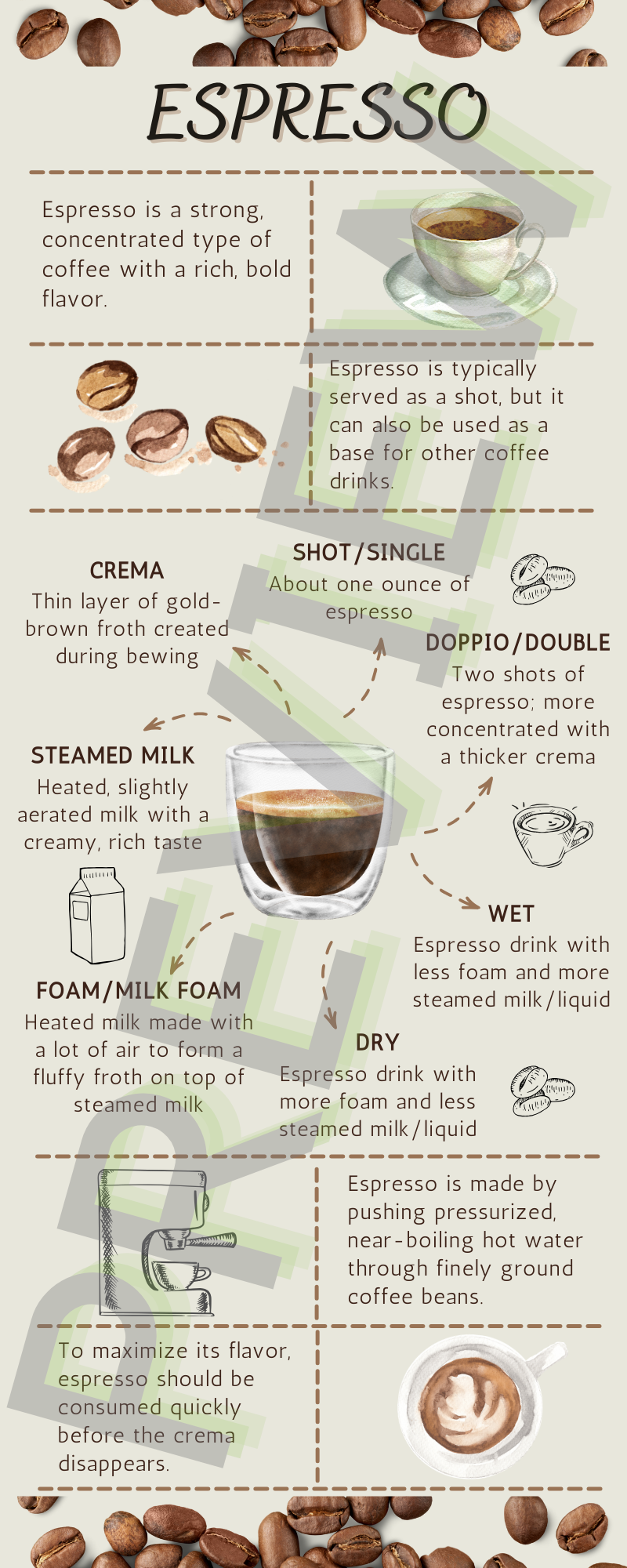 Understanding Different Types of Espresso Drinks — Axonify Content ...