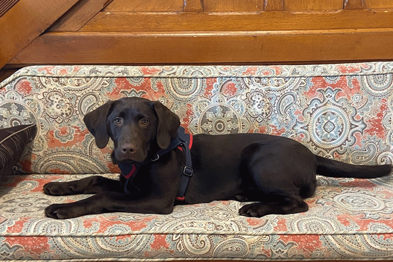 Vermont Physical Therapy