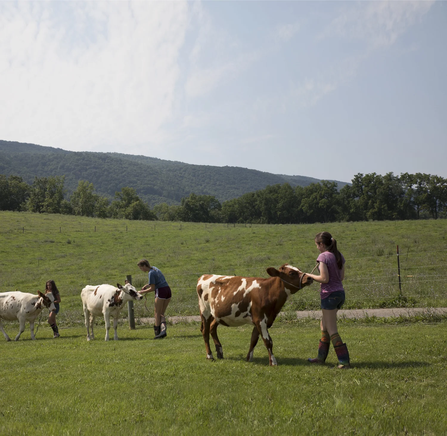 About Us — Hameau Farm Website