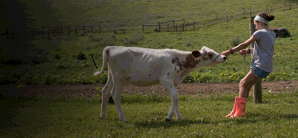 About Us — Hameau Farm Website