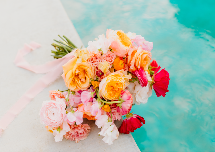 Meet Me — Taylor Renee' Photos