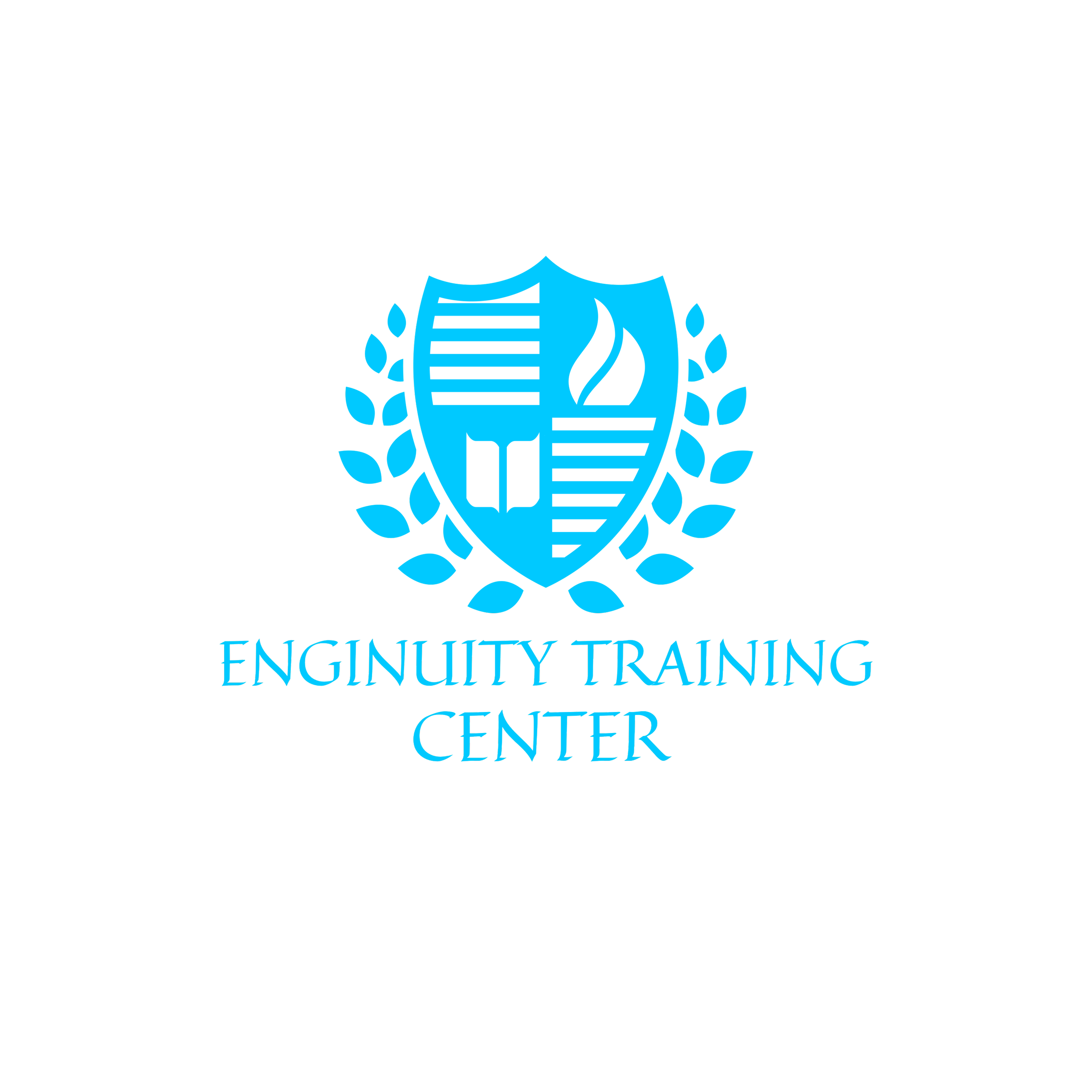 Enginuity Entertainment