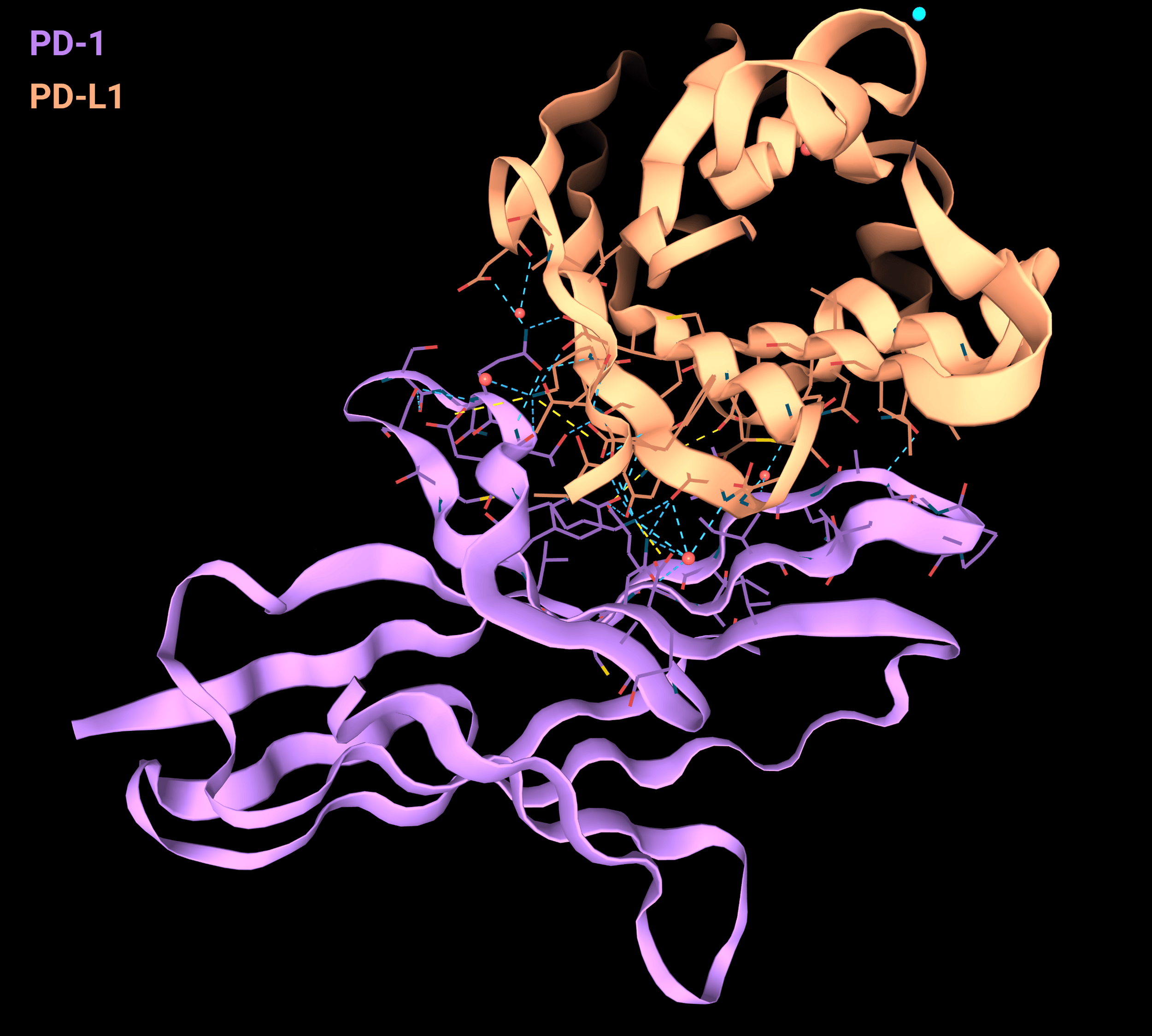 Evaluating protein-protein interactions in AF3 predicted complexes: a ...