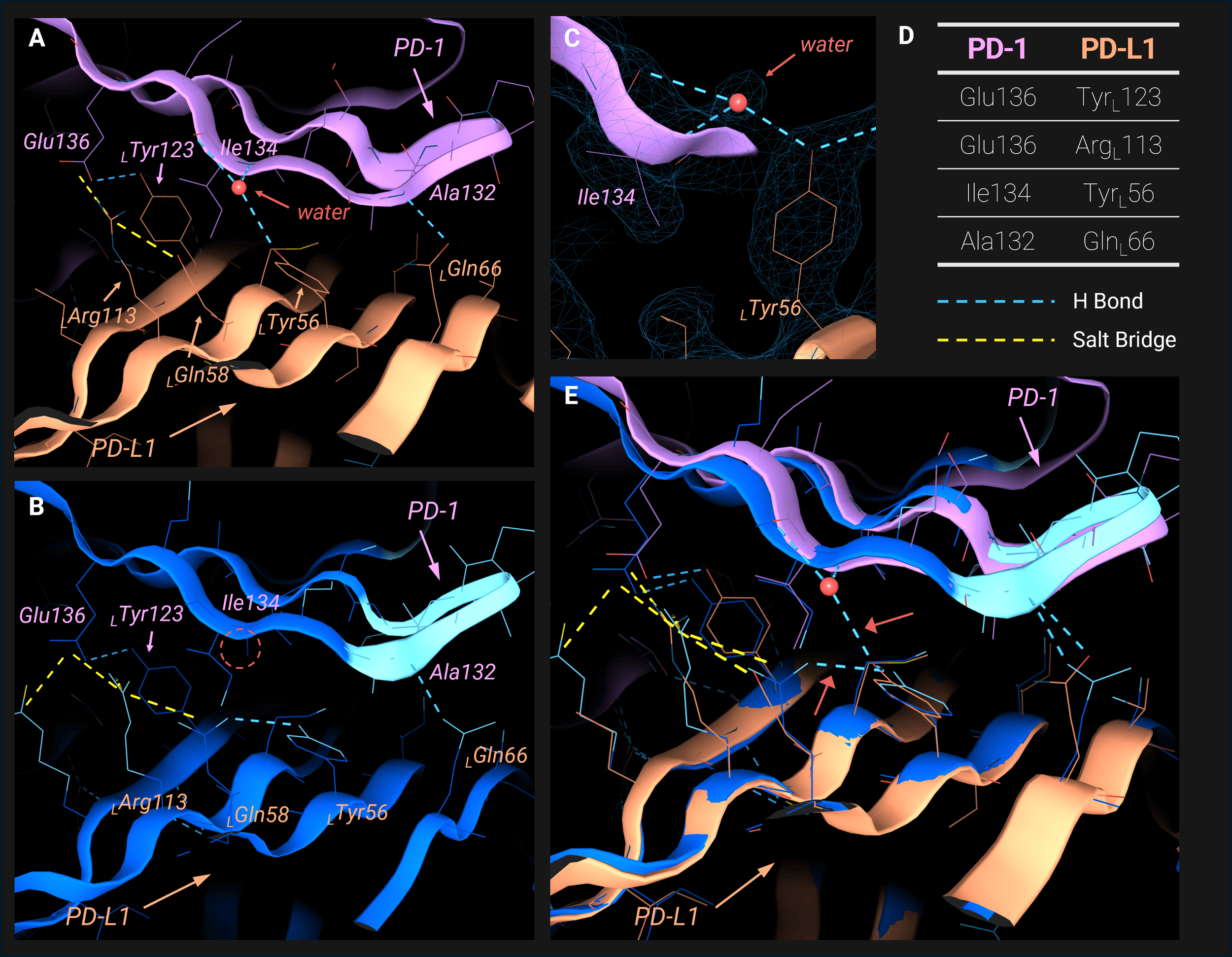 Evaluating protein-protein interactions in AF3 predicted complexes: a ...