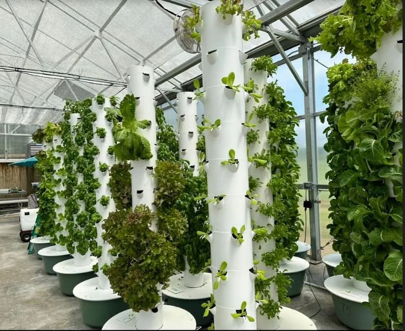 Our Growing Process — Full Circle Bloom LLC