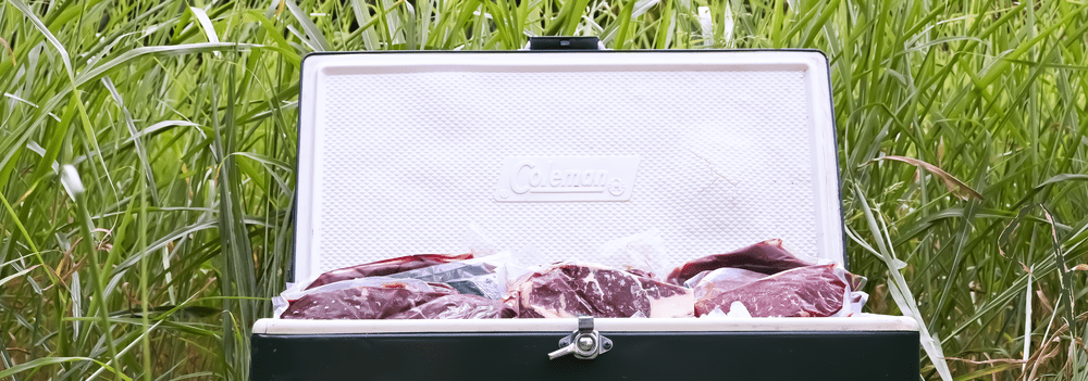 Half Steer — Texas Beef Raised Wild