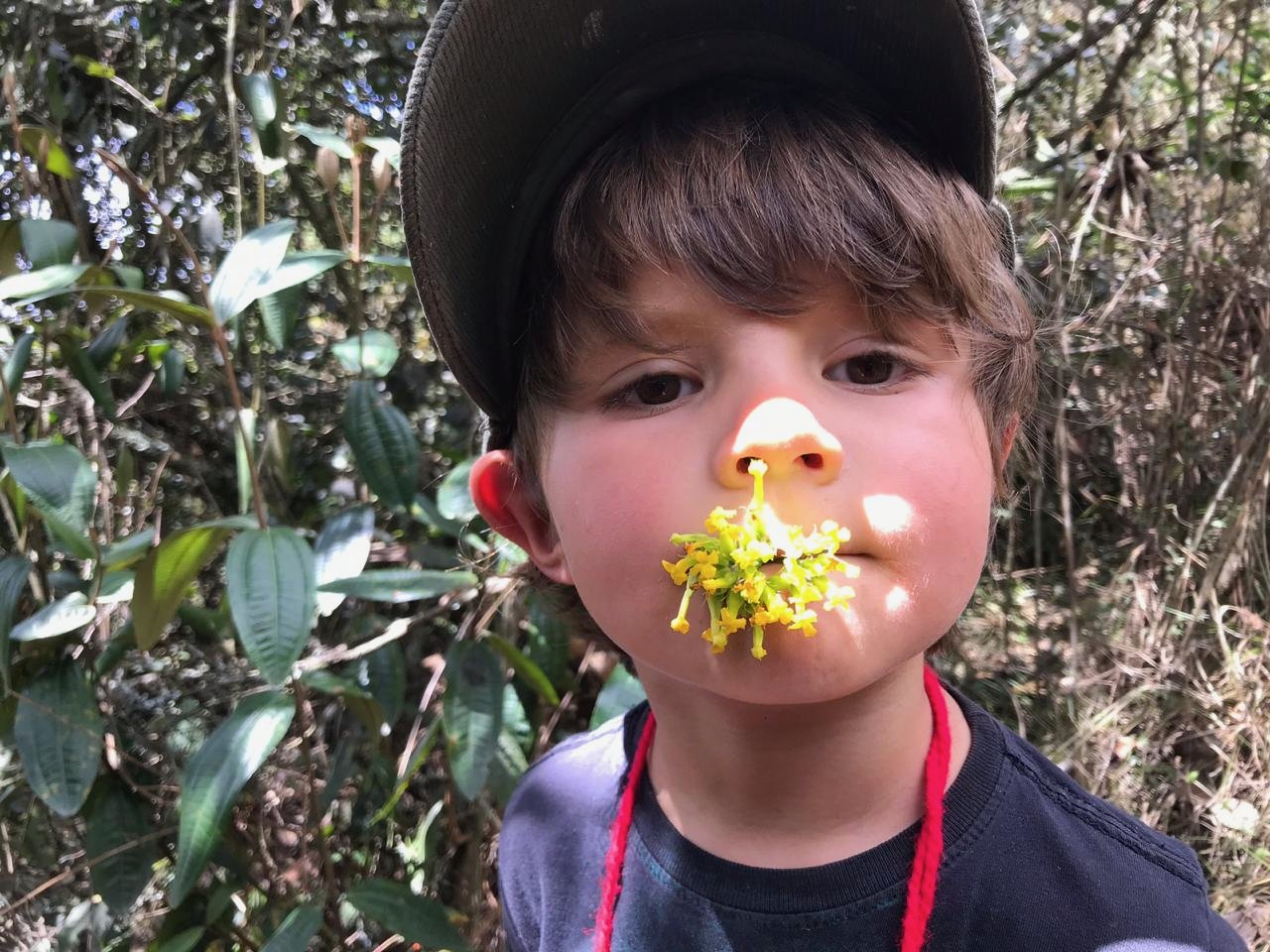 Kalapa Comunidad de Aprendizaje