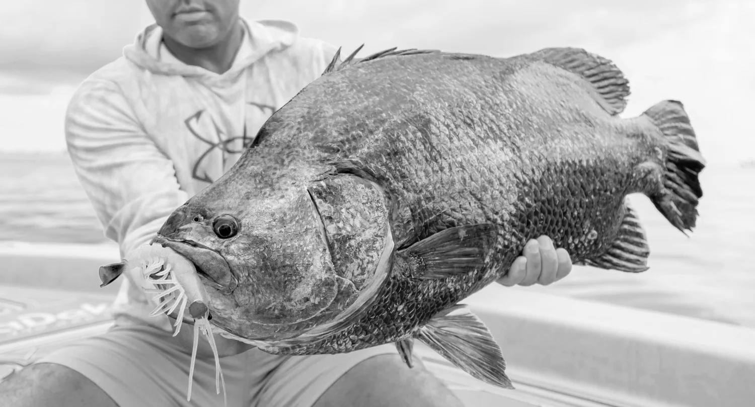 Triple Tail Charters