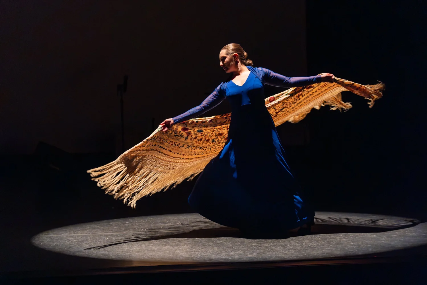 Zorongo Flamenco Dance Theatre & School