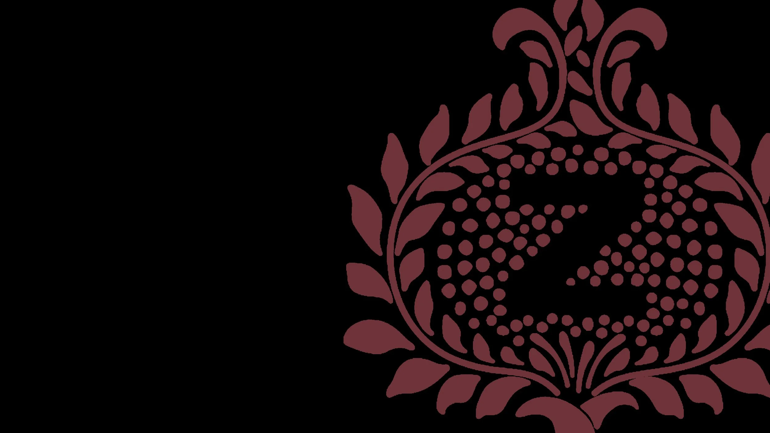 Zorongo Flamenco Dance Theatre & School