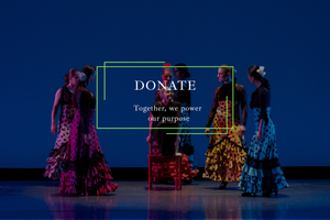 Zorongo Flamenco Dance Theatre & School