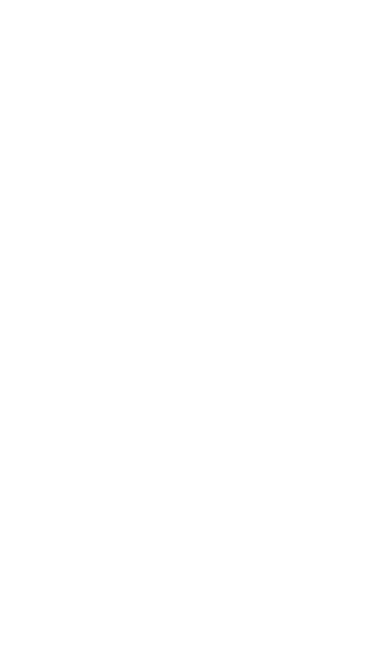 Zorongo Flamenco Dance Theatre & School
