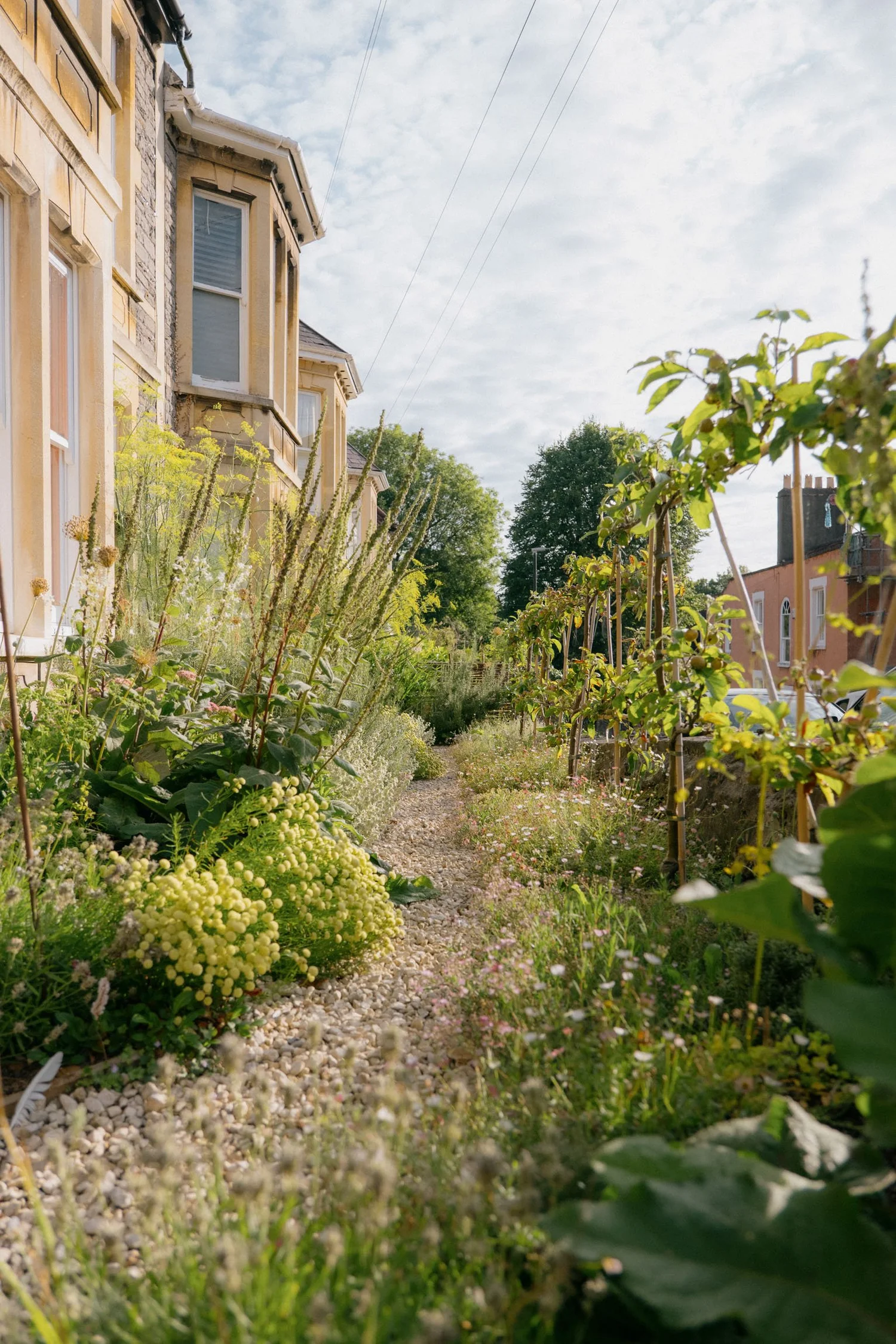 Plant focused garden in Montpelier — INNES DESIGN STUDIO