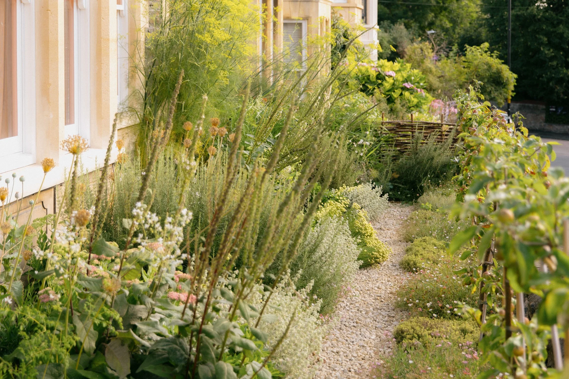 Plant focused garden in Montpelier — INNES DESIGN STUDIO