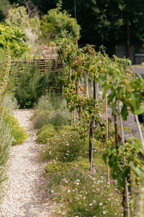 Plant focused garden in Montpelier — INNES DESIGN STUDIO