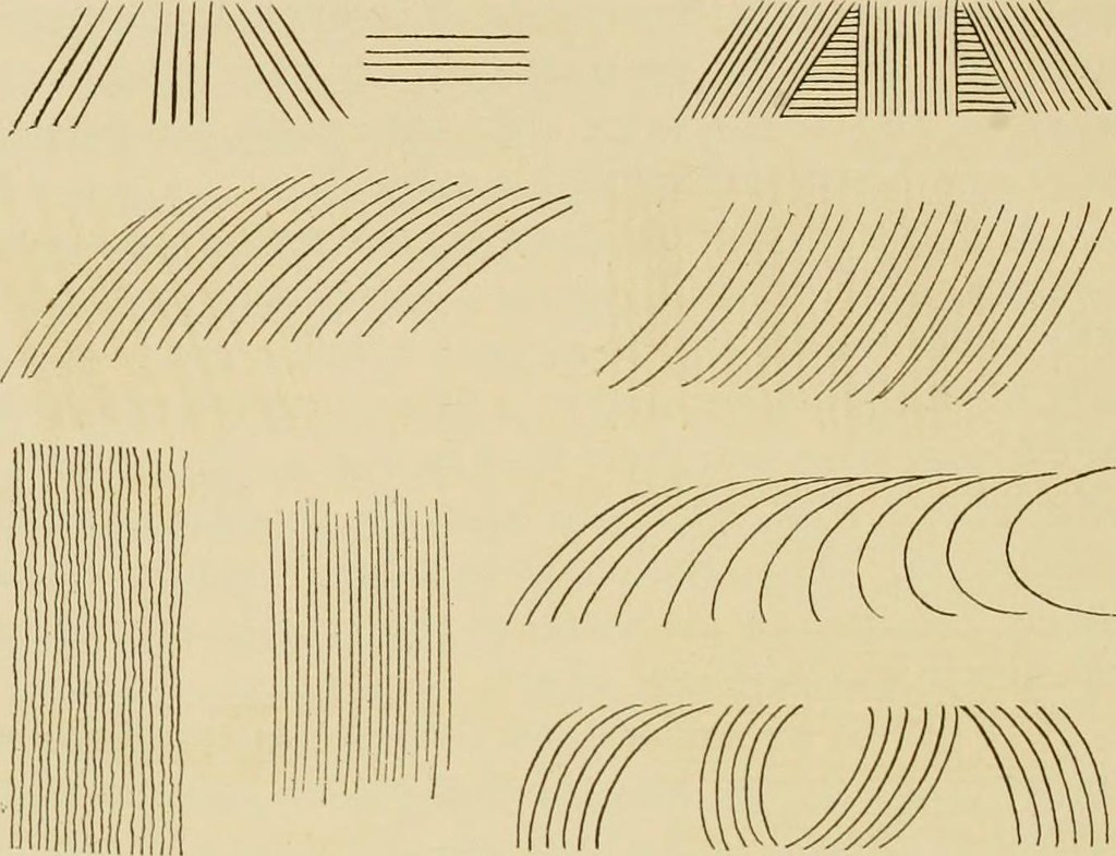 The Art of Precision: Mastering Line Work in Pencil Drawing Vestesta