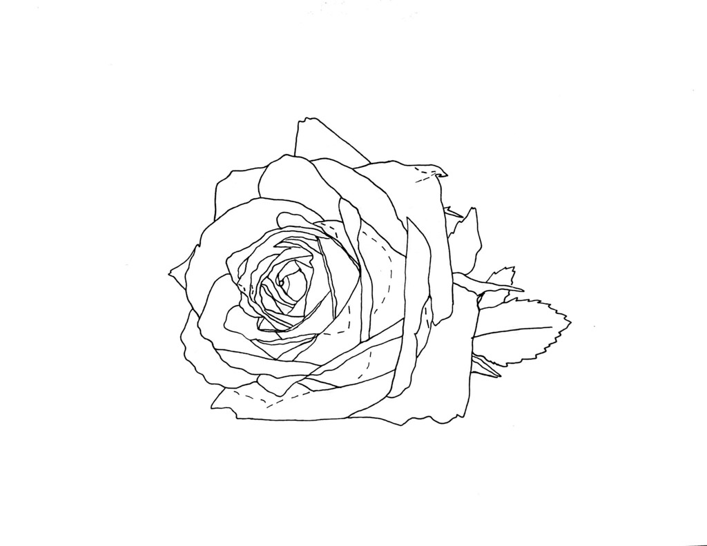 The Art of Precision: Mastering Line Work in Pencil Drawing Vestesta