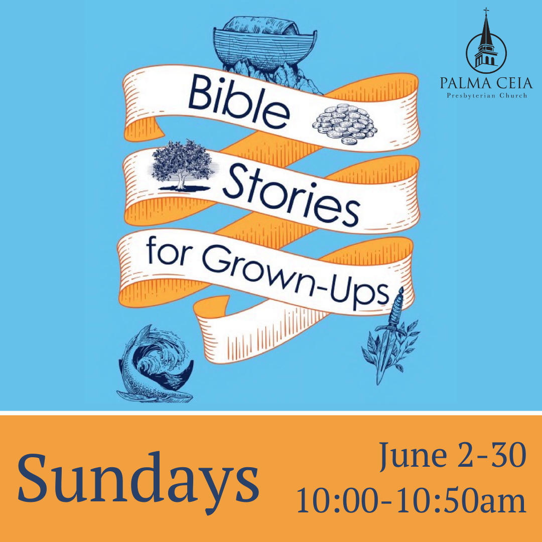 Upcoming Events at PCPC — Palma Ceia Presbyterian Church