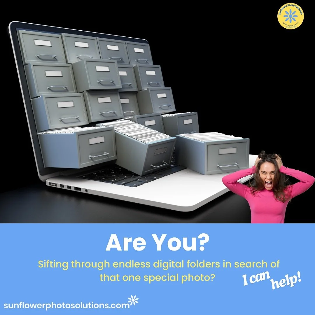 DIG YOUR PHOTOS!, A DIY Photo Organizing Kit