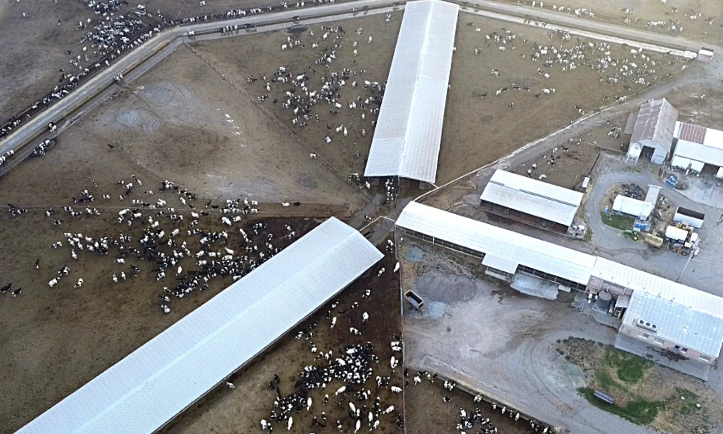 The CAFOs — Yes on Measure J