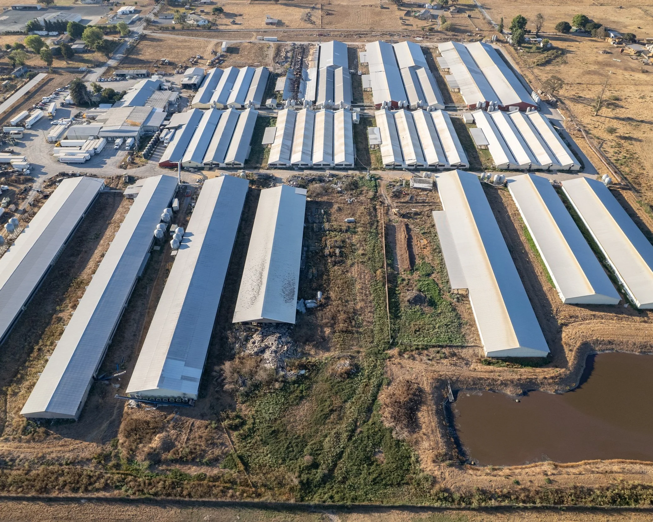 The CAFOs — Yes on Measure J