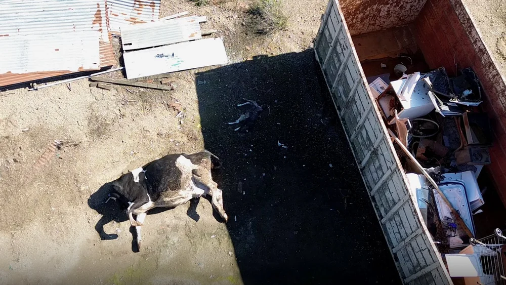 The CAFOs — Yes on Measure J