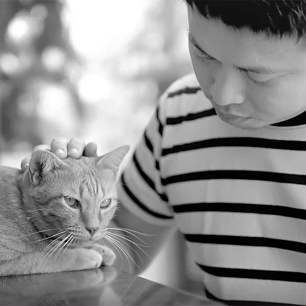 Behavioral Services — Advanced Crisis Solutions