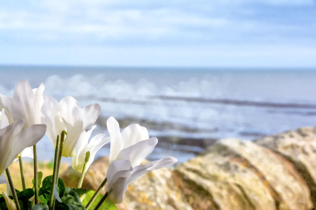 Accommodation — North Cottage \ Boulmer