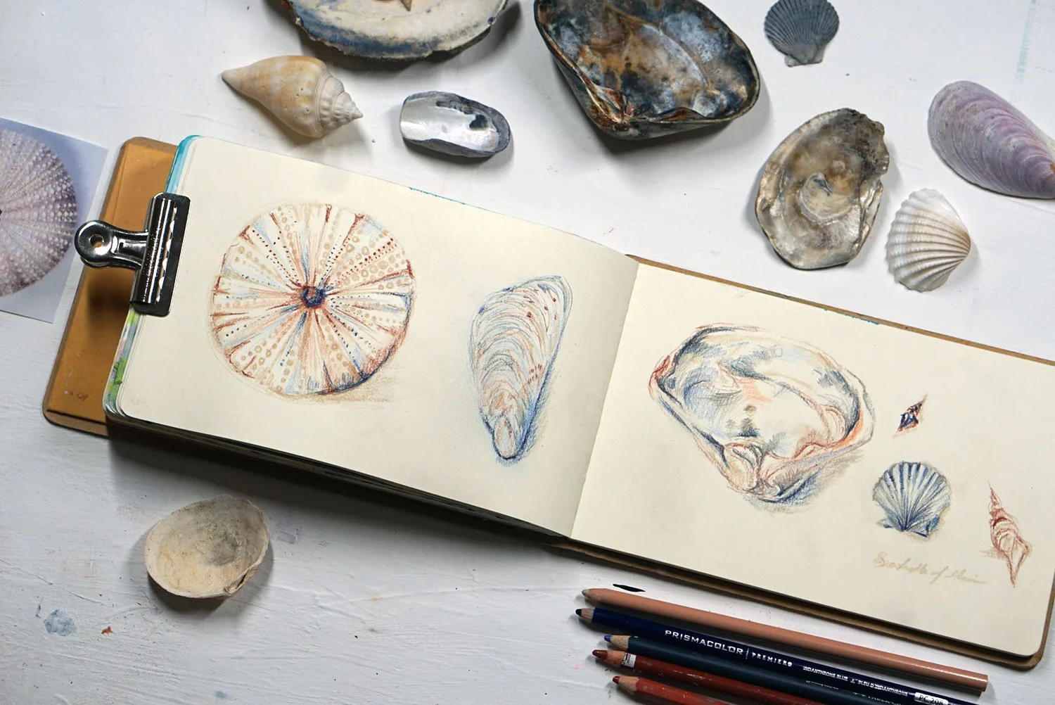 Classes — KRISTY KENSINGER